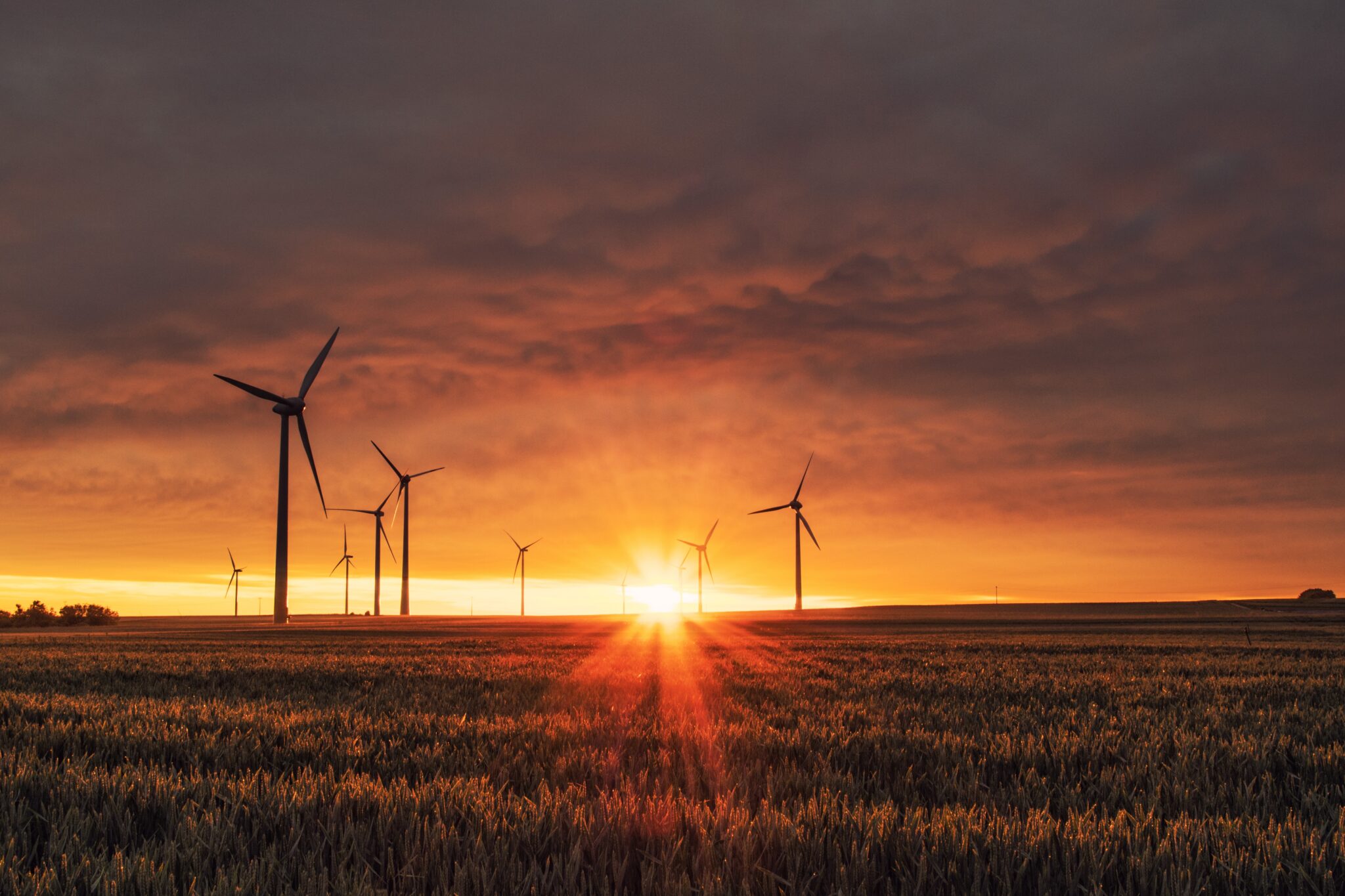 Minnesota Environmental Partnership - The Minnesota Environmental ...