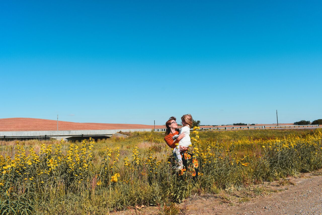 Minnesota Environmental Partnership - The Minnesota Environmental ...