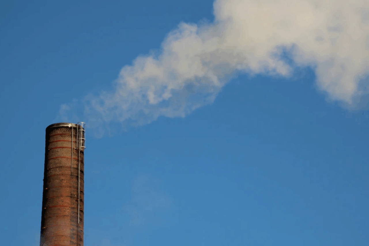 Federal rollback blitz will harm Minnesotans, wildlife - Minnesota ...